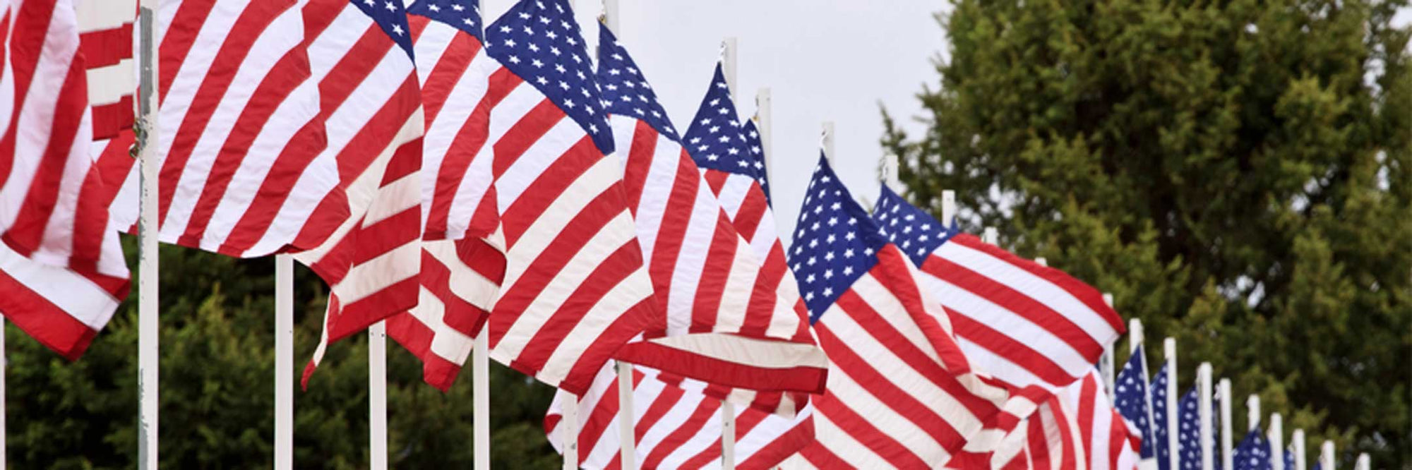 About Flag Station USA
